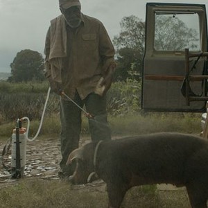 Mr. Pig - Rotten Tomatoes