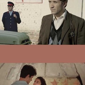Internment - Rotten Tomatoes