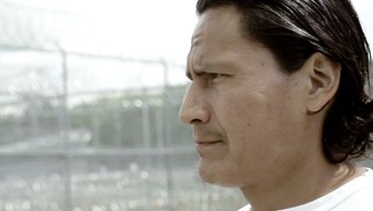 The Seventh Fire - Rotten Tomatoes