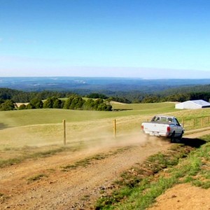 Reverse Runner - Rotten Tomatoes