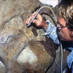 Peter L. Larson - Rotten Tomatoes