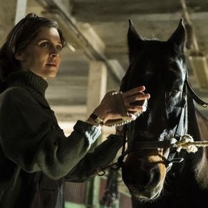 Genius - Rotten Tomatoes