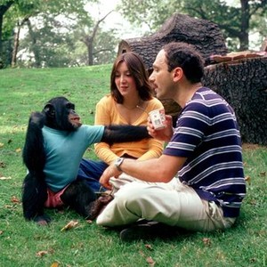 Project Nim - Rotten Tomatoes