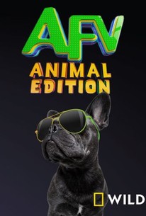 America's Funniest Home Videos: Animal Edition - Rotten Tomatoes
