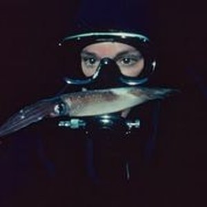 Mission Blue - Rotten Tomatoes