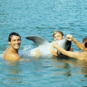 Flipper: Season 2, Episode 2 - Rotten Tomatoes