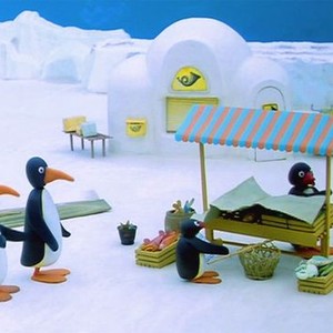Pingu: Season 2, Episode 24 - Rotten Tomatoes