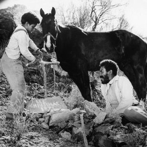 George Spell - Rotten Tomatoes