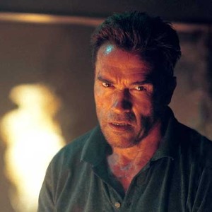 Collateral Damage - Rotten Tomatoes