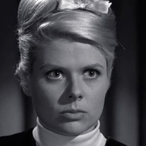 Perry Mason: Season 8, Episode 16 - Rotten Tomatoes