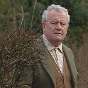 Heartbeat: Season 17, Episode 18 - Rotten Tomatoes