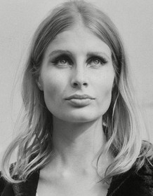 Donna Michelle | Rotten Tomatoes