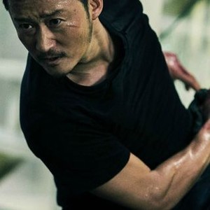 SPL 2: A Time for Consequences - Rotten Tomatoes