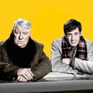 A Monkey in Winter - Rotten Tomatoes