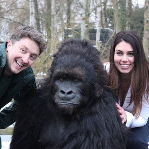 Going Ape - Rotten Tomatoes