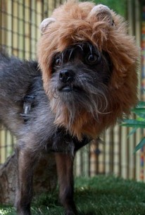 Animal Cribs: Season 2, Episode 4 | Rotten Tomatoes
