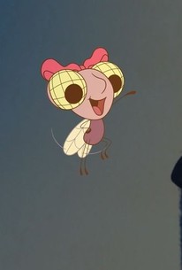 Bug Diaries: Season 1, Episode 9 | Rotten Tomatoes