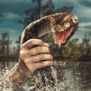 Swamp People: Serpent Invasion - Rotten Tomatoes