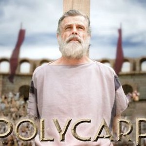 Polycarp - Rotten Tomatoes