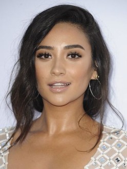 shay mitchell contact