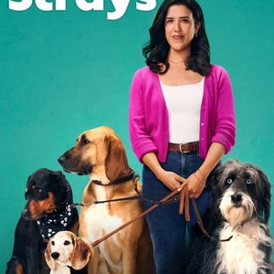 Strays - Rotten Tomatoes