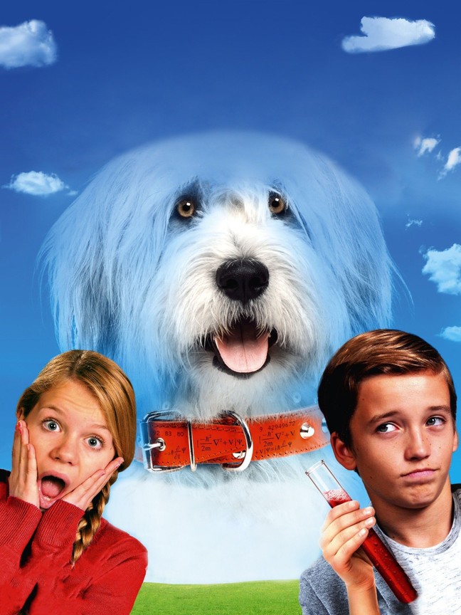 Abner The Invisible Dog Movie