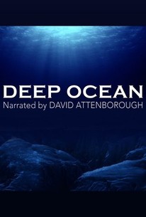 Deep Ocean: Season 1, Episode 1 | Rotten Tomatoes