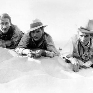 Clyde Cook - Rotten Tomatoes