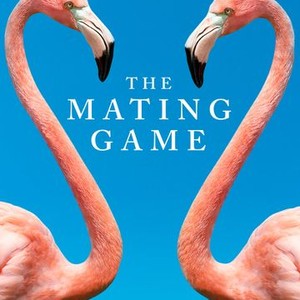 The Mating Game - Rotten Tomatoes