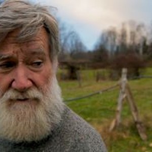 Peter and the Farm - Rotten Tomatoes