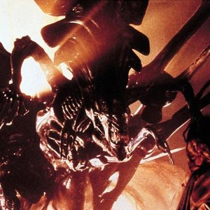 Carrie Henn - Rotten Tomatoes