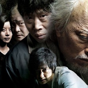 Moss - Rotten Tomatoes