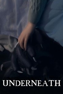 Underneath (2017) | Rotten Tomatoes