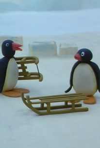Pingu: Season 1, Episode 18 | Rotten Tomatoes