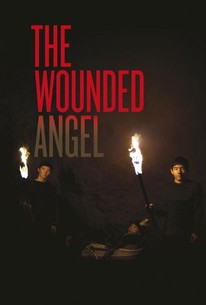 The Wounded Angel | Rotten Tomatoes