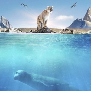Patagonia: Life on the Edge of the World - Rotten Tomatoes
