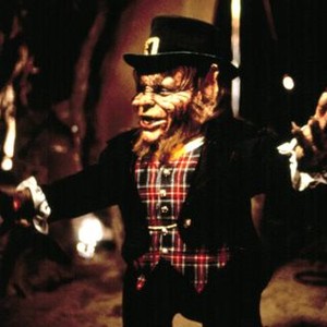 Warwick Davis - Rotten Tomatoes