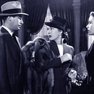 The Arnelo Affair - Rotten Tomatoes