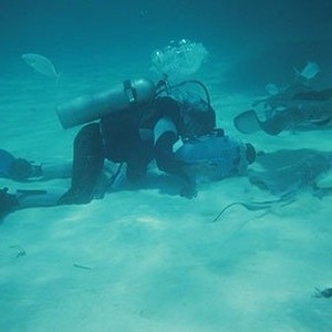 Diving Deep: The Life and Times of Mike deGruy - Rotten Tomatoes