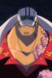 One Piece: Season 14, Episode 16 | Rotten Tomatoes