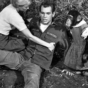 Monkeys, Go Home! - Rotten Tomatoes