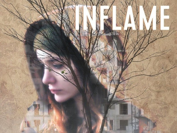 Inflame 2017 Filmaffinity