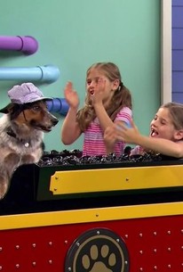 Mutt & Stuff: Season 1, Episode 18 | Rotten Tomatoes