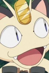 Pokémon the Series: Advanced Battle, Episode 47 | Rotten Tomatoes