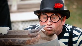 Jackass Forever - Rotten Tomatoes