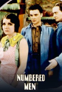 Numbered Men | Rotten Tomatoes