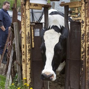 Charles Pol - Rotten Tomatoes