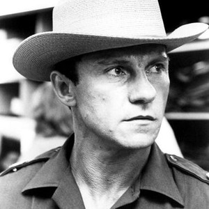 Rotten Tomatoes: Movies | TV Shows | Movie Trailers | Reviews - Rotten ...