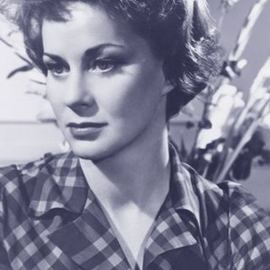 The Stranger's Hand - Rotten Tomatoes