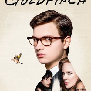 The Goldfinch - Rotten Tomatoes